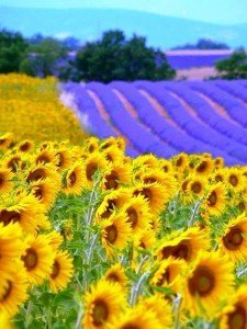 Top 10 best places for inspiration | Sky Rye Design