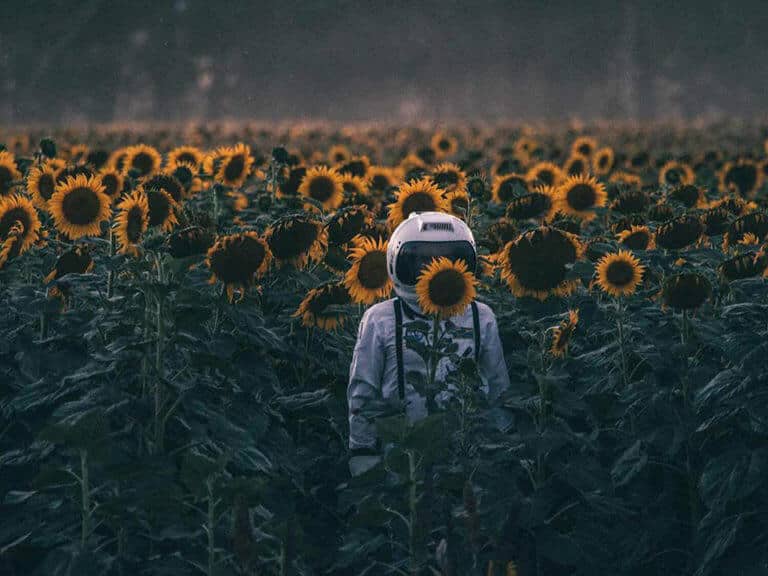 20 cool photography ideas of this year | Sky Rye Design