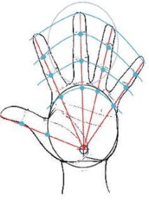 How to Draw a Hand: Step-by-Step Guide for Beginners