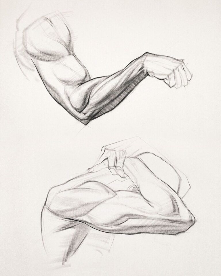 Anatomy Drawing Reference Tips For Drawing An Anatomy