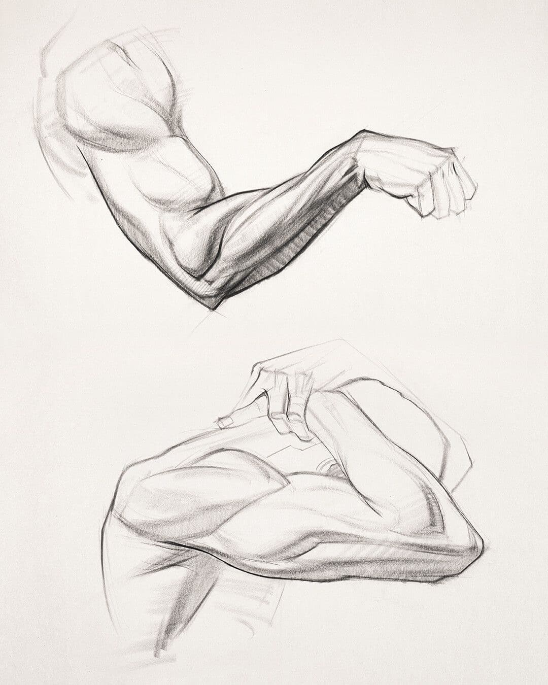 Anatomy Drawing Reference: Tips and Techniques for Depiction