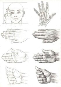 How to Draw a Hand: Step-by-Step Guide for Beginners