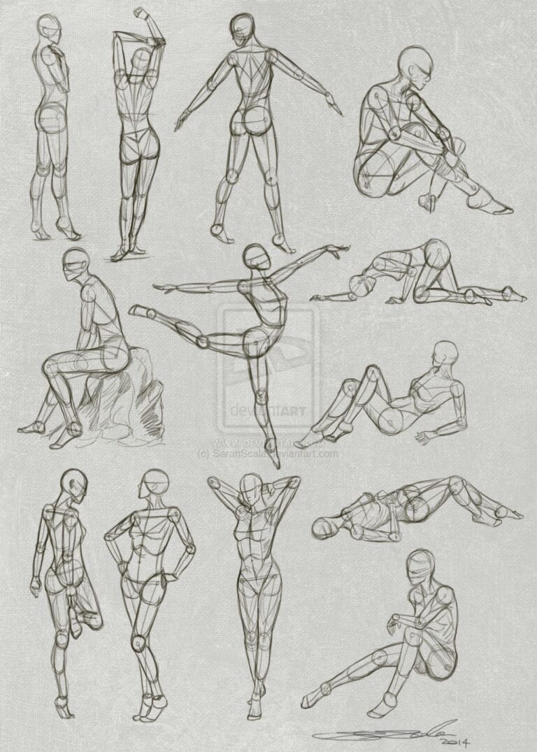 Body Sketches: A Guide to Drawing Human Anatomy | Sky Rye