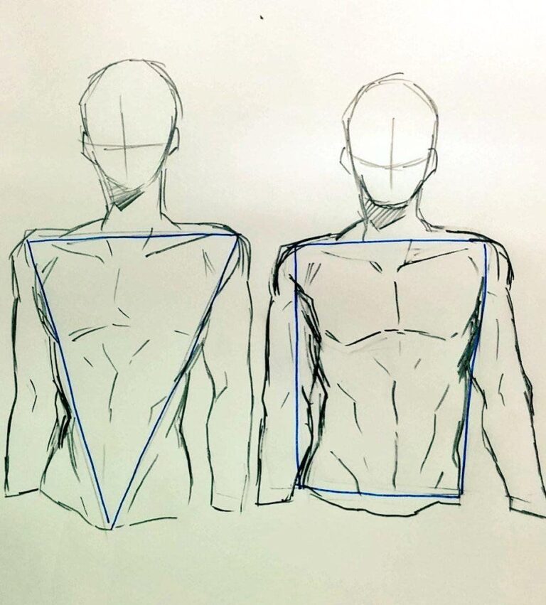 Body Sketches: A Guide to Drawing Human Anatomy | Sky Rye