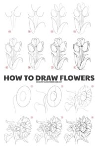 Drawing Flowers: Tips and Techniques for Beginners