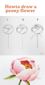 Drawing Flowers: Tips and Techniques for Beginners