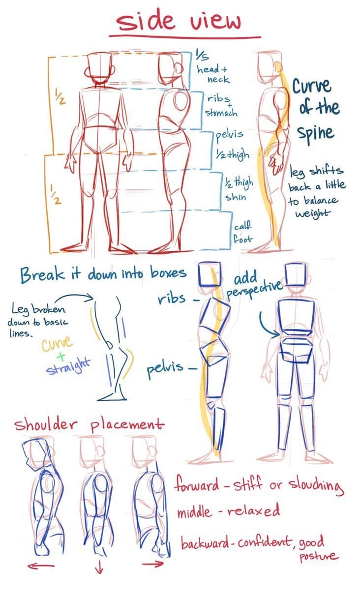 Human Figure Drawing: Tips for Beginners | Sky Rye Design