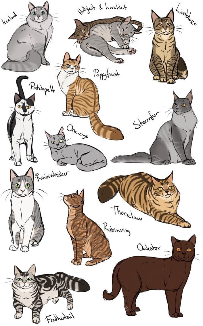 Drawing Cats: Tips and Techniques for Beginners