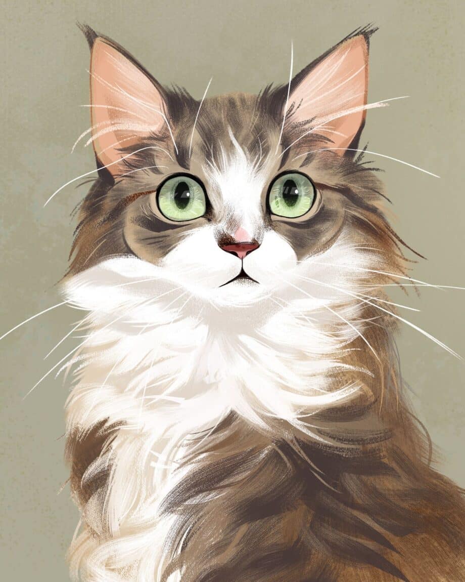 Drawing Cats: Tips and Techniques for Beginners