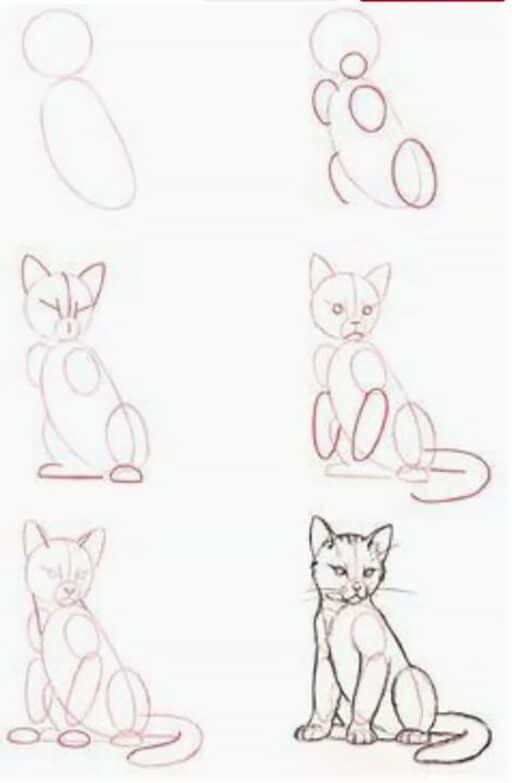 Drawing Cats: From Stiff Sketches to Living Felines