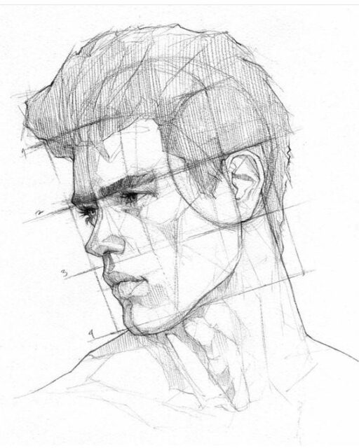 Human Figure Drawing: Tips for Beginners | Sky Rye Design