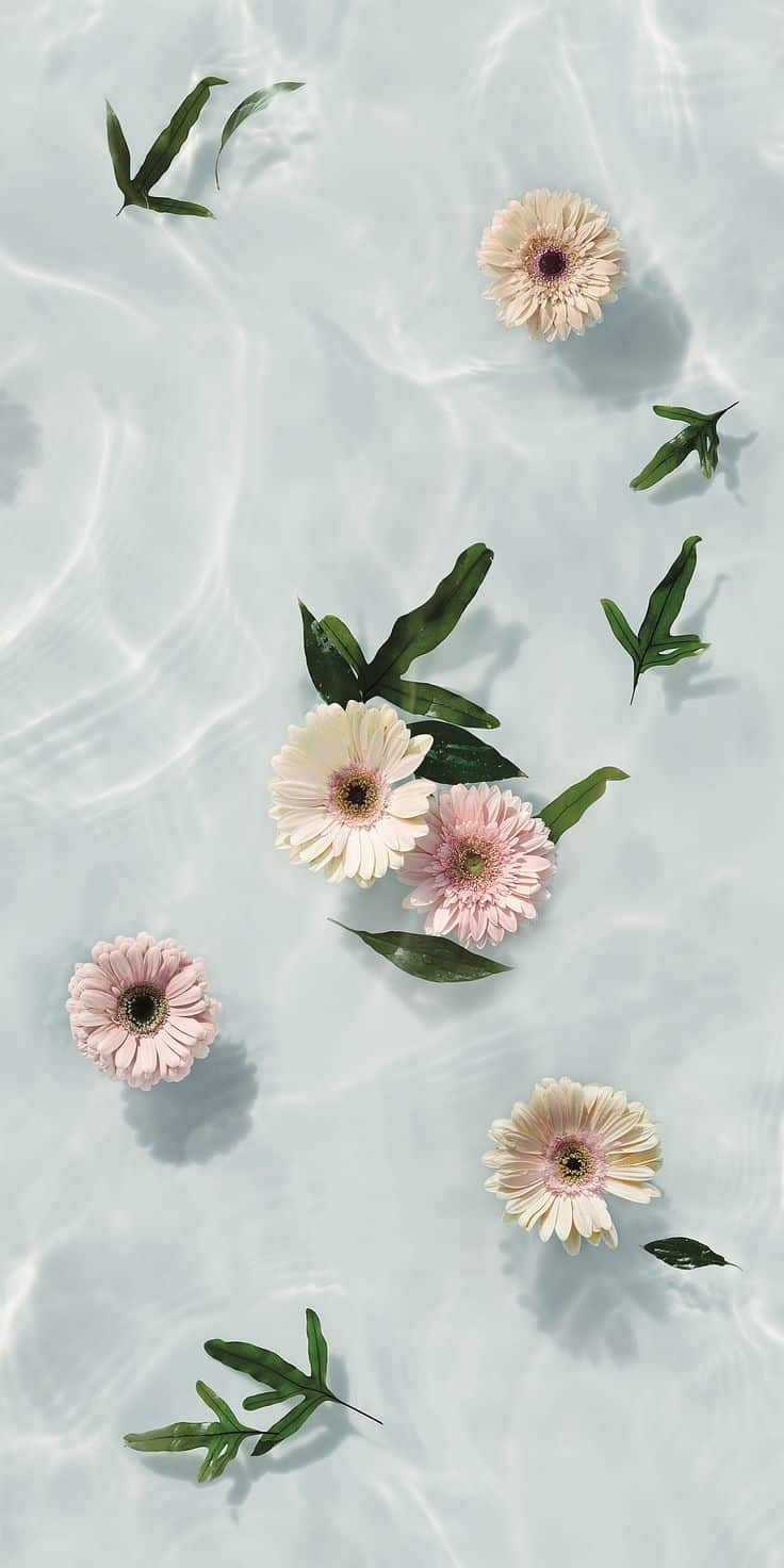 iPhone Wallpaper Summer: 10 Stunning Designs for Your Screen