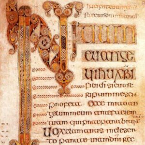 The Art of Typography: Techniques and Examples for Designs