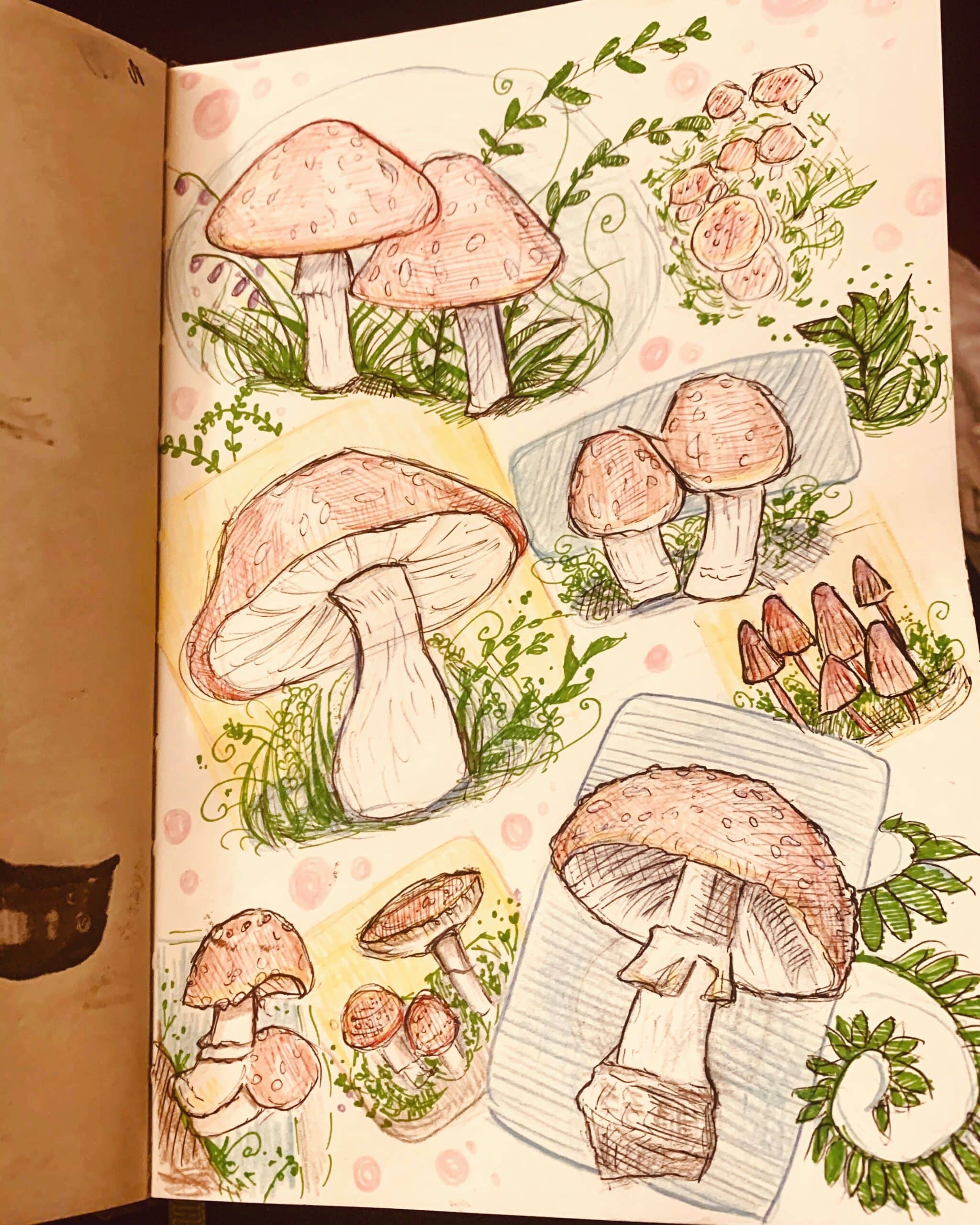 40+ Sketchbook Drawing Ideas: Inspiration for Your Project