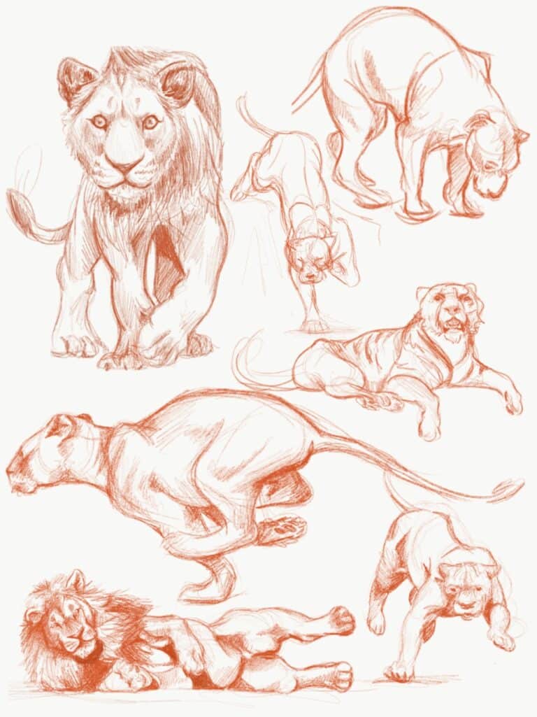 Lion Drawing: Tips and Techniques for Creating Cool Art