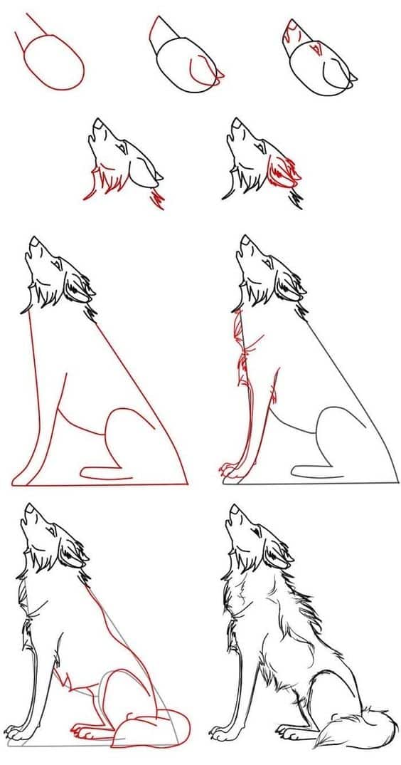 Wolf Drawing: Mastering the Art of Capturing Canine Majesty