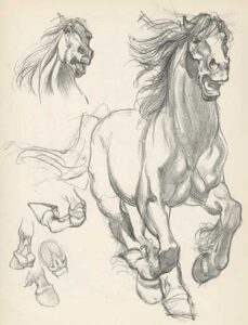 Horse Drawing: Techniques and Tips for Capturing Equine Art