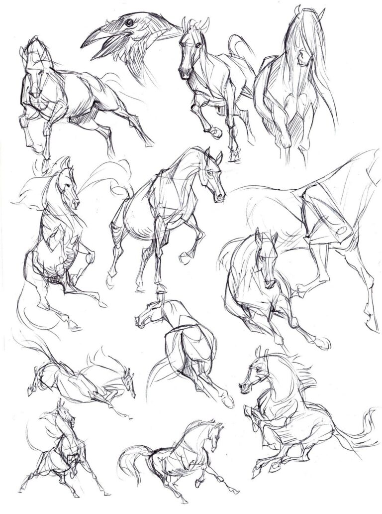 Horse Drawing: Techniques and Tips for Capturing Equine Art