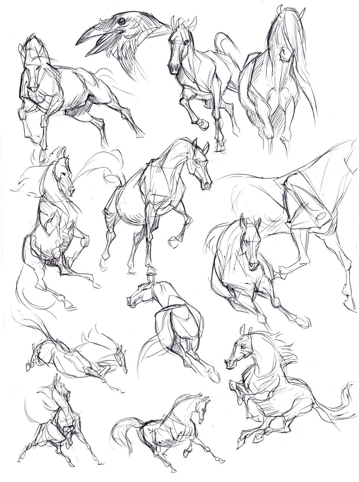 Horse Drawing: Techniques and Tips for Capturing Equine Art