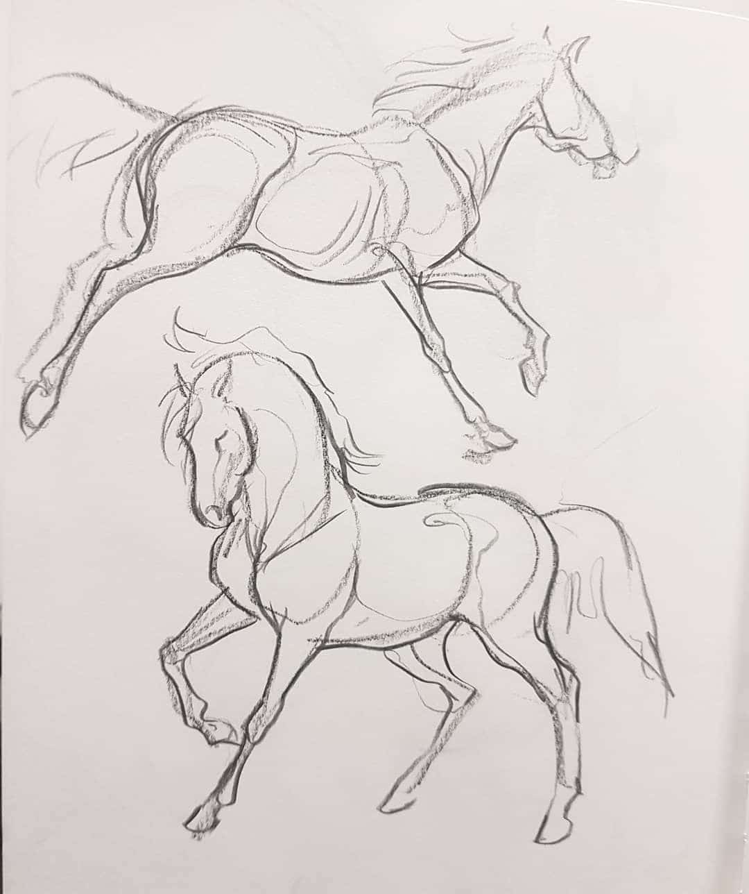 Horse Drawing: Techniques and Tips for Capturing Equine Art