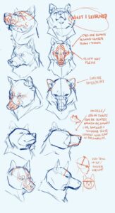 Wolf Drawing: Mastering the Art of Capturing Canine Majesty