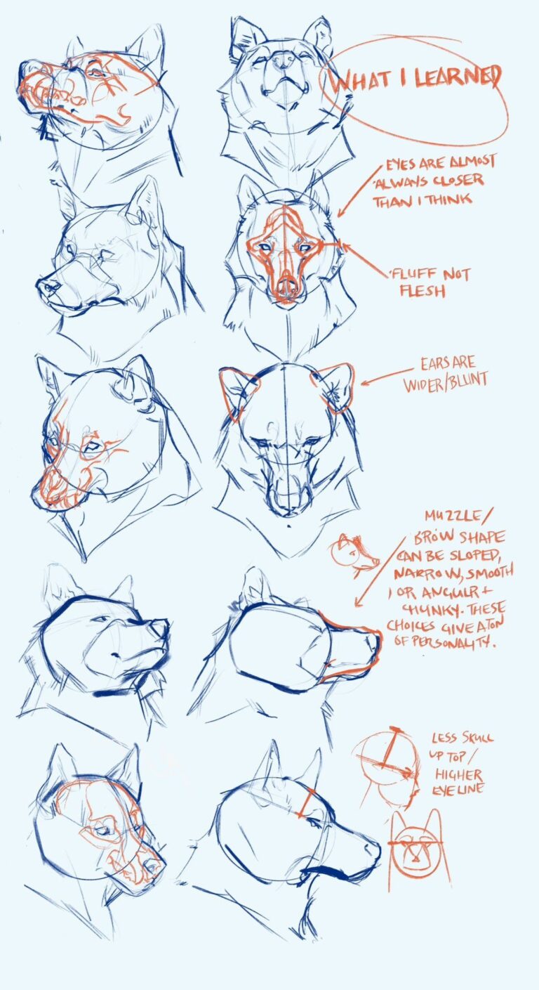 Wolf Drawing: Mastering the Art of Capturing Canine Majesty