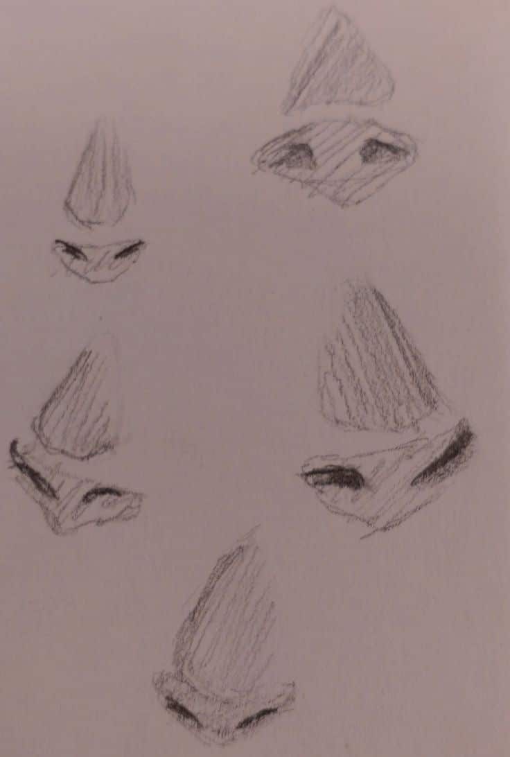 Nose Drawing: Master the Art of Facial Features | Sky Rye