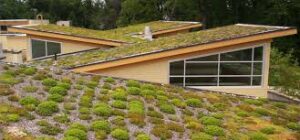 Contemporary Trends in Roof Design: A Guide | Sky Rye Design