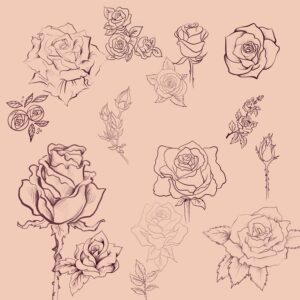 10+ Rose Drawing Ideas: Unleash Your Creativity | Sky Rye