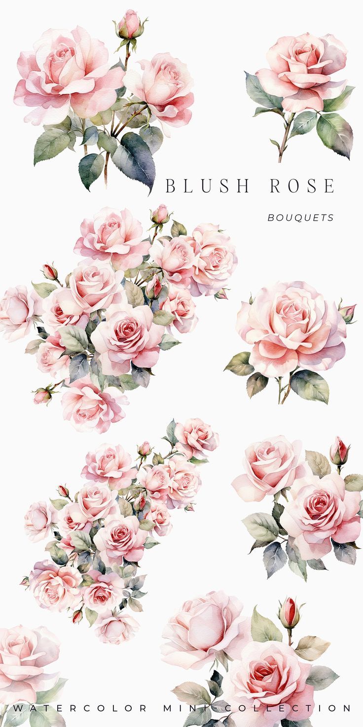 10+ Rose Drawing Ideas: Unleash Your Creativity | Sky Rye