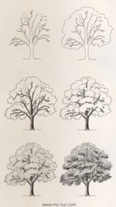 12+ Tree Drawing Tips: Boost Your Art Skills Today | Sky Rye