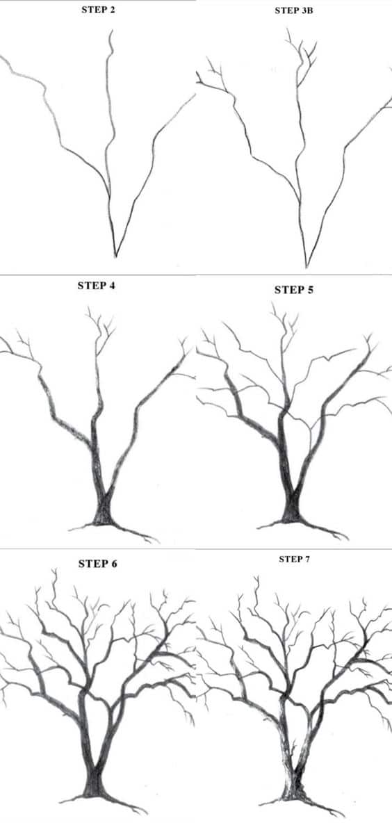 12+ Tree Drawing Tips: Boost Your Art Skills Today | Sky Rye