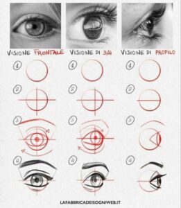 Eyeball Drawing: Easy Tips for Lifelike Sketches | Sky Rye