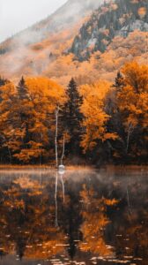 15+ Fall Wallpapers to Cozy Up Your Screens | Sky Rye Design