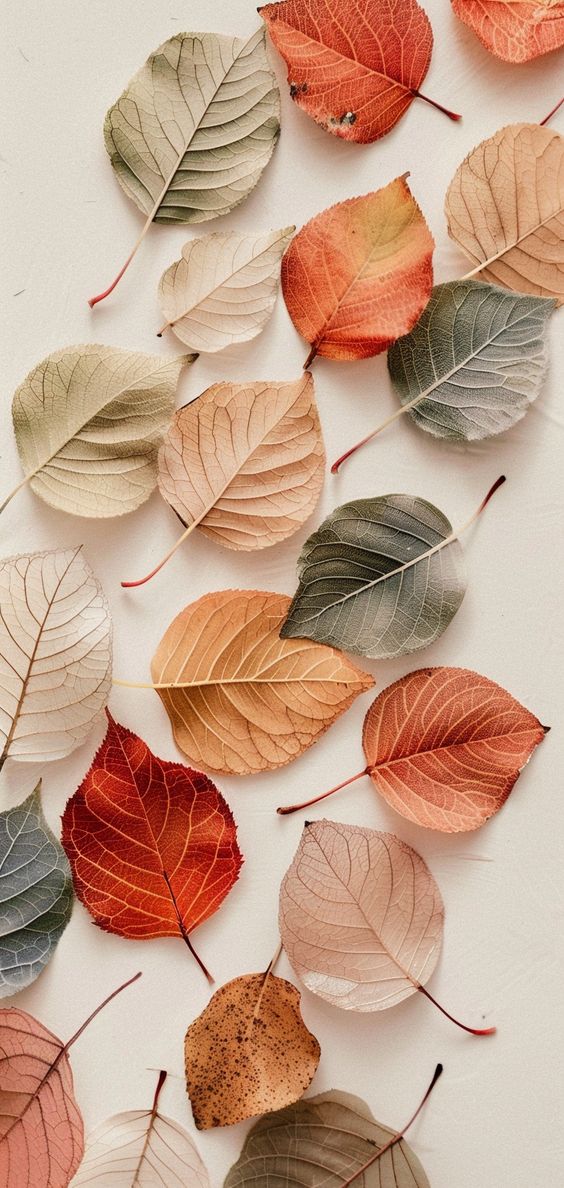 15+ Fall Wallpapers to Cozy Up Your Screens | Sky Rye Design
