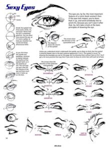 How to Draw Eyes: A Step-by-Step Guide for Beginners | Sky