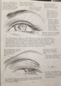 How to Draw Eyes: A Step-by-Step Guide for Beginners | Sky