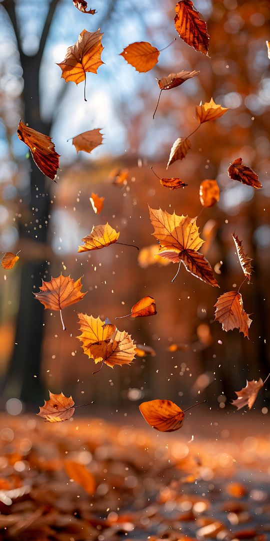 15+ Fall Wallpapers to Cozy Up Your Screens | Sky Rye Design