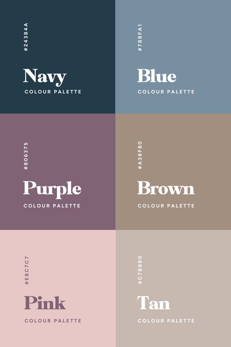 Unlocking the Secrets of Color Theory in Web Design