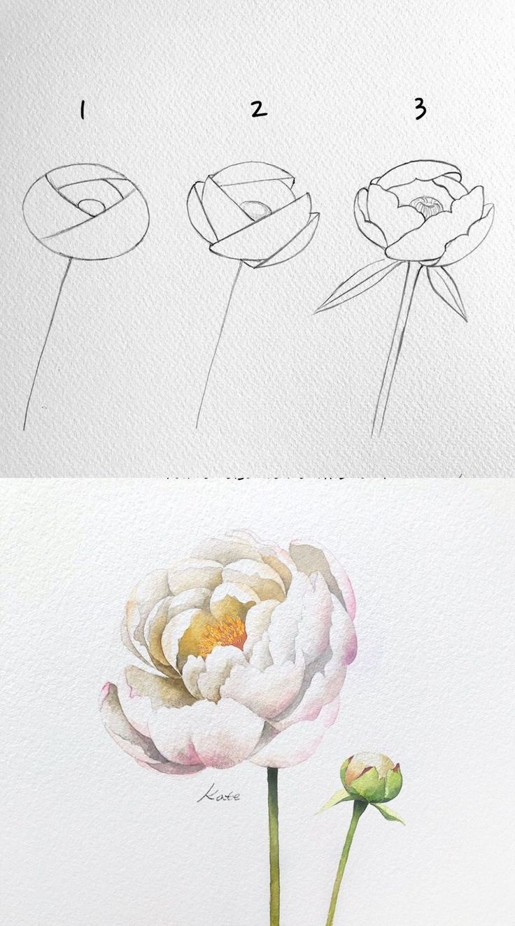 How to Drawing Flower: A Simple Guide for Beginners | Sky
