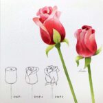 How to Drawing Flower: A Simple Guide for Beginners | Sky