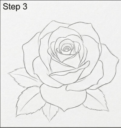 How to Draw a Flower: Step-by-Step for Beginners (2026)