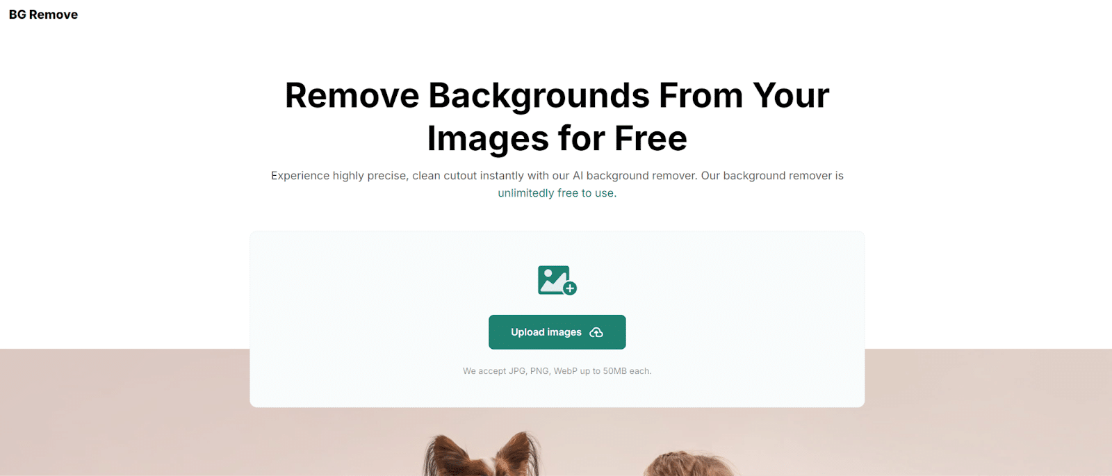 BG Remove: Remove Background From Your Picture With AI | Sky