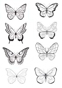 Butterfly Drawing: Simple Steps for Stunning Results | Sky
