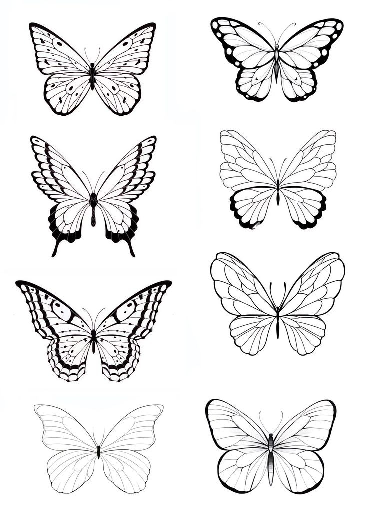 Butterfly Drawing: Simple Steps for Stunning Results | Sky