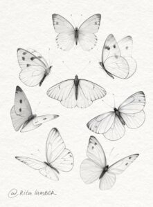 Butterfly Drawing: Simple Steps for Stunning Results | Sky
