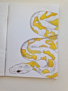 Drawing Snakes: Techniques and Tips for Realistic Art | Sky