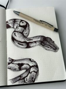 Drawing Snakes: Techniques and Tips for Realistic Art | Sky