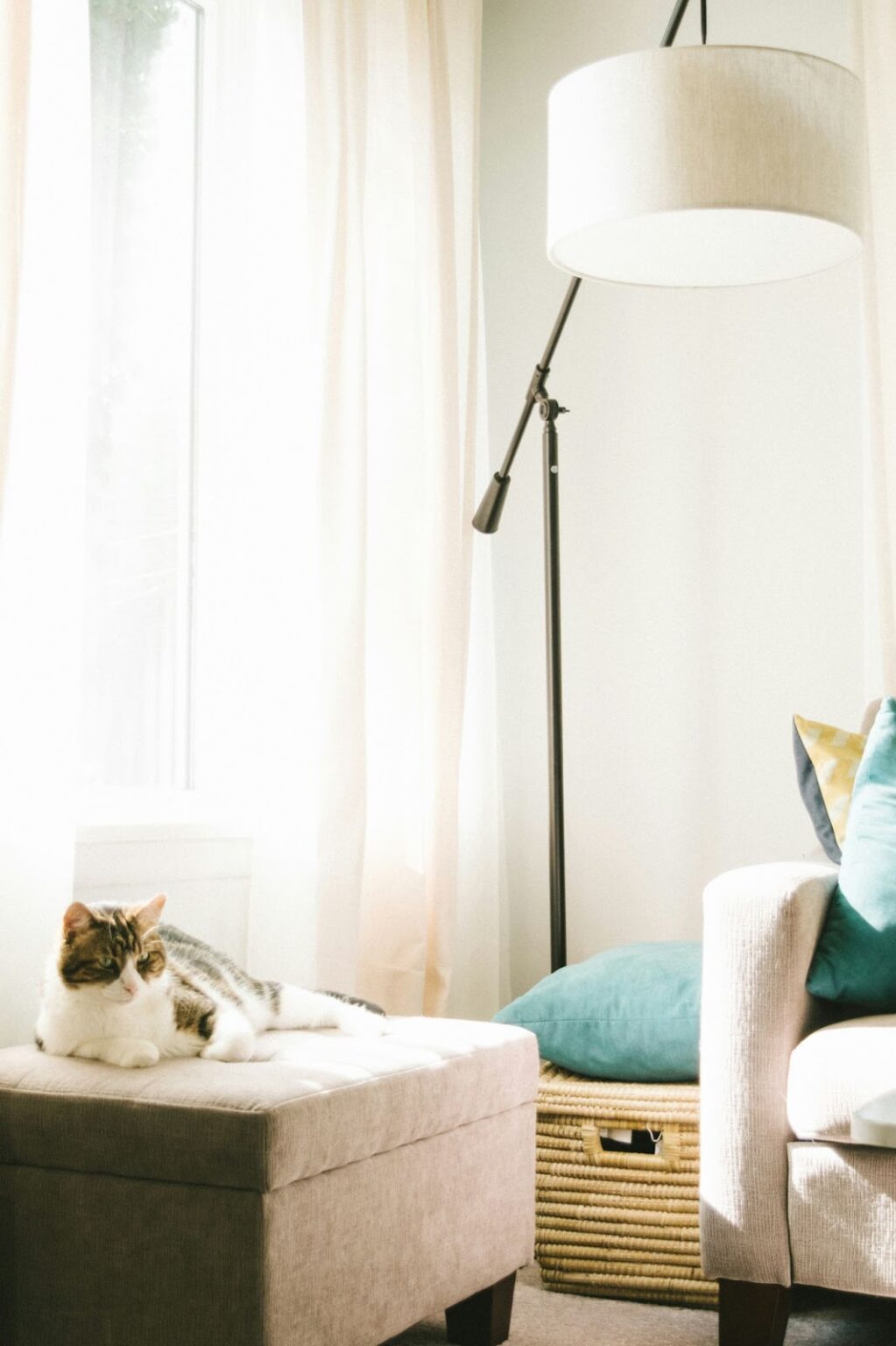 Design Tips for Modern Co-op Units: Maximizing Small Spaces