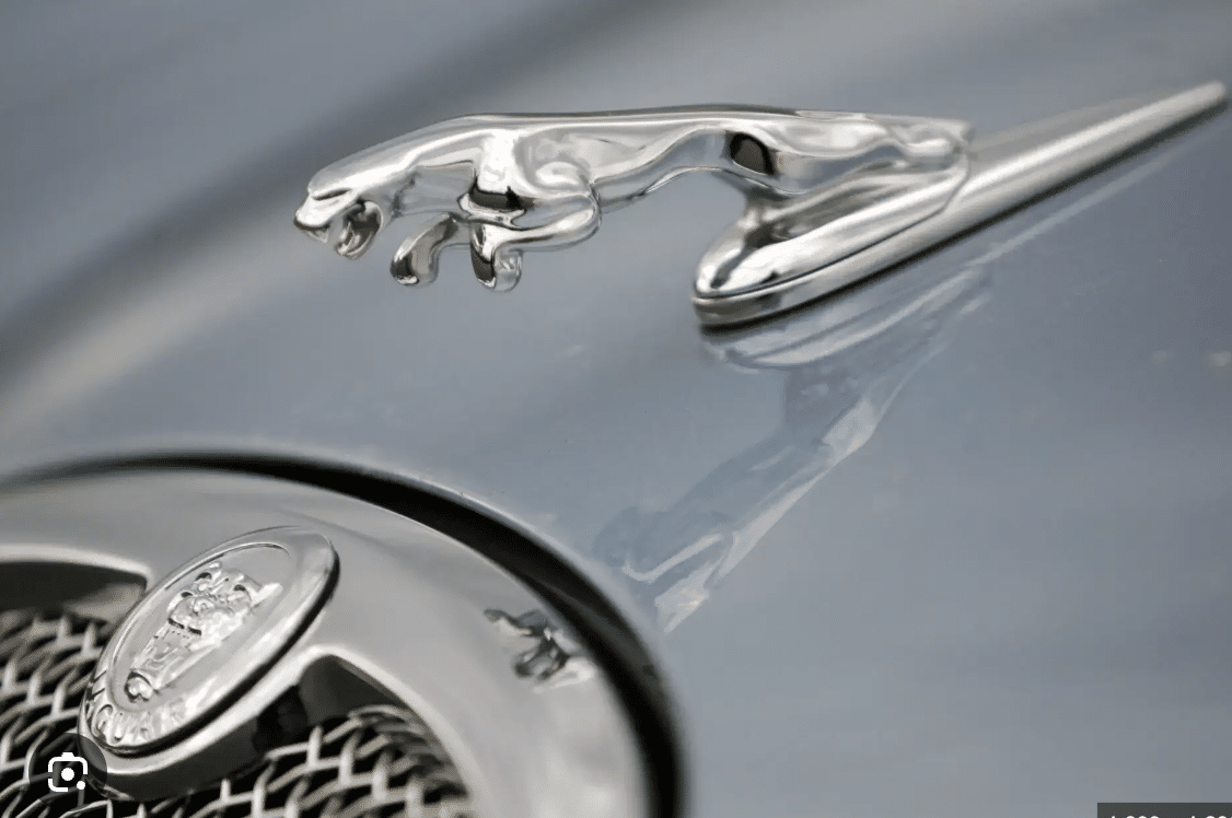 History of Jaguar Cars: Iconic Evolution of a Luxury Brand